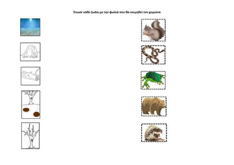 Ζωακια σε χειμερια ναρκη Worksheet Live Worksheets