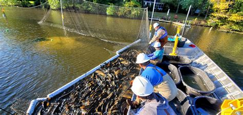 General 1 — Carp Solutions