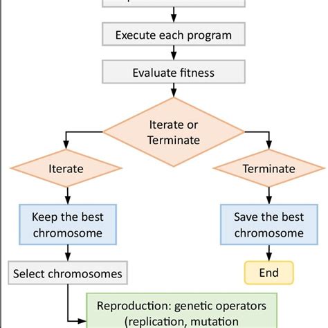 flowchart of a basic gene expression algorithm download scientific