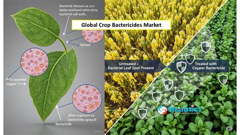 Crop Bactericides Market