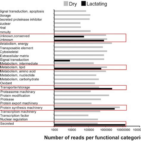 Go Enrichment And Genes Identified Following Rna Seq Analysis After