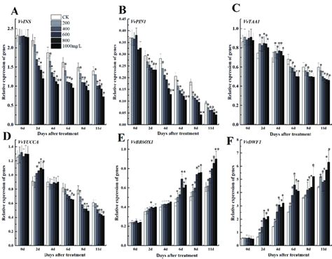 Effect Of Ethephon On Auxin Metabolism Related Gene Expression Levels
