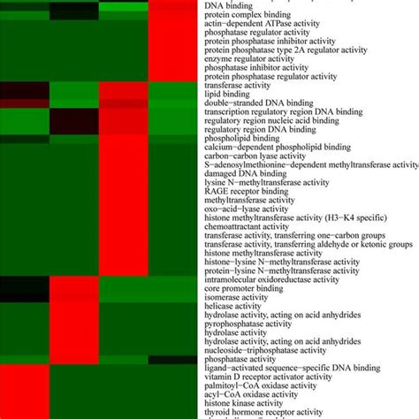 Functional Enrichment Based Clustering Analysis For The Quantified Download Scientific Diagram