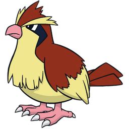 Pidgey Type Strengths Weaknesses Evolutions Moves And Stats