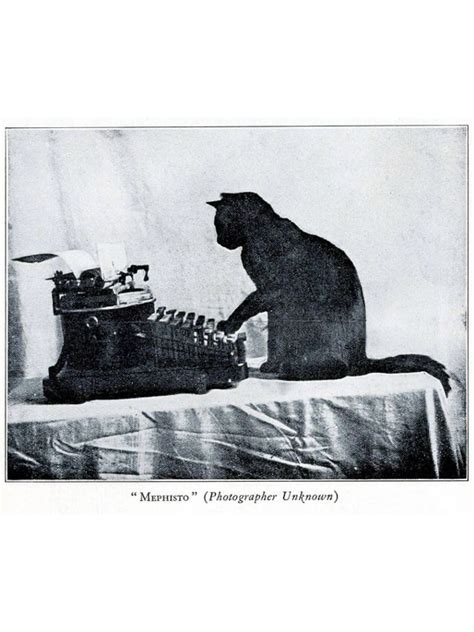 영화로 배우는 창작 글쓰기 창작 글쓰기 A To Z 영화로 배우는 창작 글쓰기 창작 글쓰기 A To Z