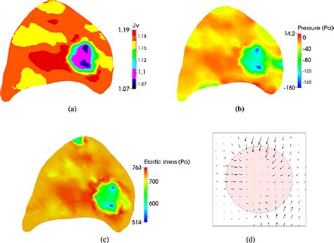 A Poroelastic Model Coupled To A Fluid Network With Applications In