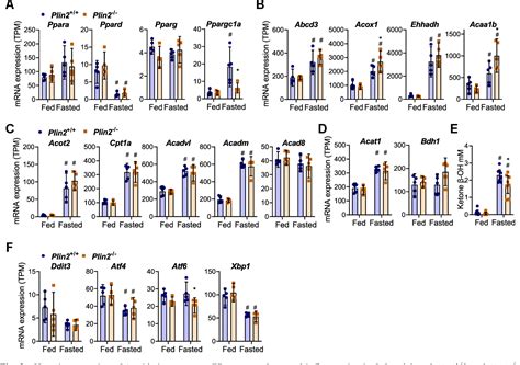 Figure 6 From Altered Hepatic Lipid Droplet Morphology And Lipid
