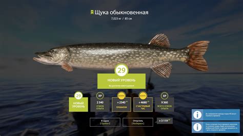 Стрим по русской рыбалке 4 Youtube