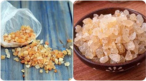 गोंद बनाम गोंद कतीरा कौन सा प्राकृतिक गोंद है सेहत के लिए बेहतर