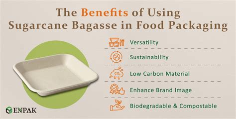 Sugarcane Bagasse 101