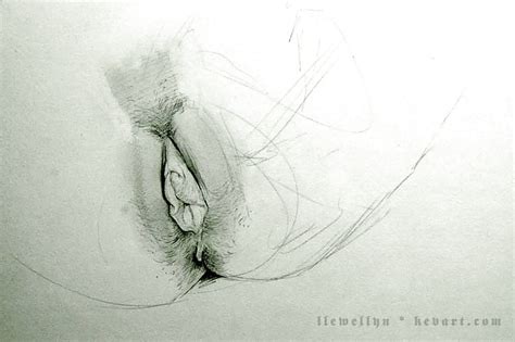 Erotic Drawings Porn Pictures Xxx Photos Sex Images 1460478 Pictoa