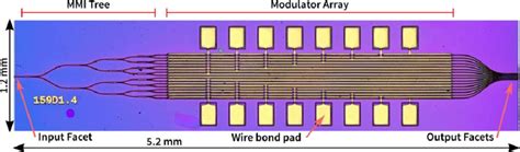 Optical Micrograph Of Fabricated Pic Download Scientific Diagram