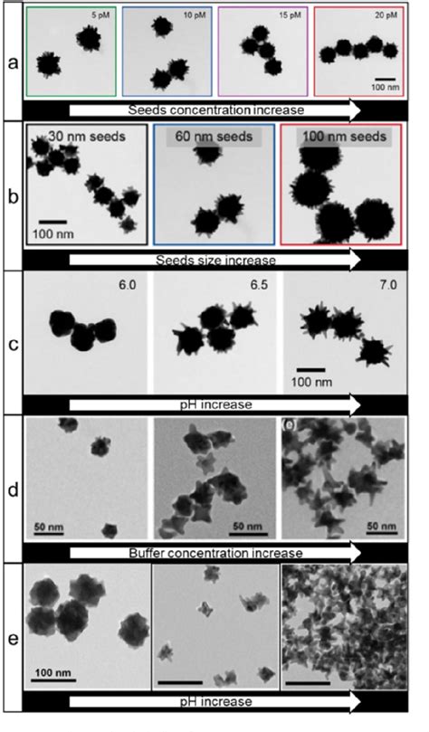 Figure 1 From Design And Synthesis Of Gold Nanostars Based Sers Nanotags For Bioimaging