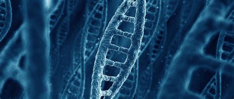 基于杂交捕获的 Ngs 靶向序列捕获 安捷伦