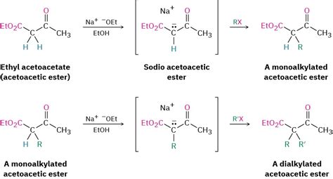 227 Alkylation Of Enolate Ions Organic Chemistry Openstax