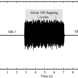 Definition Of One Batch Dataset Obtained From Raw Vertical Force Data