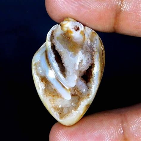 100 Natural Antique Fossil Snail Druzy 65 25cts Fancy Cabochon Loose