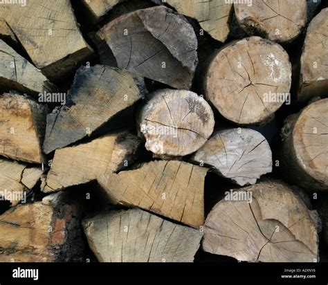 Stacked Logs Stock Photo Alamy