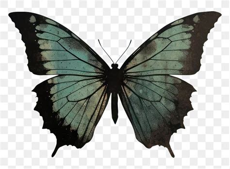 Vignette Png Images Free Photos Png Stickers Wallpapers And Backgrounds Rawpixel