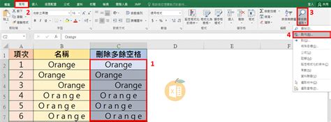 Excel快速刪除多餘空格~一招輕鬆搞定 Lazyorangelife