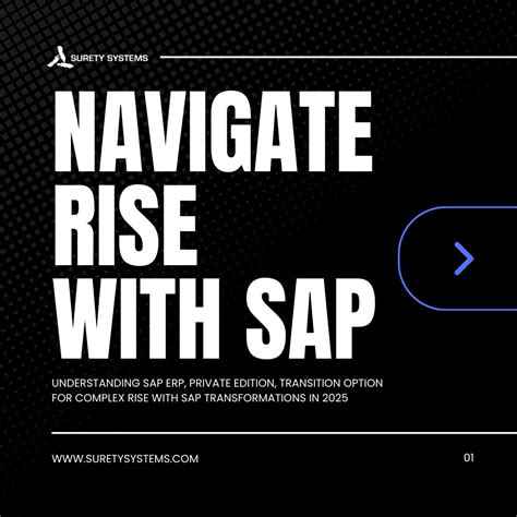 Sap Saperp Transformation Suretysystems Surety Systems