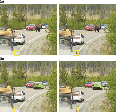 A And B The Same Stimulus Example Picture Pair From The Which One
