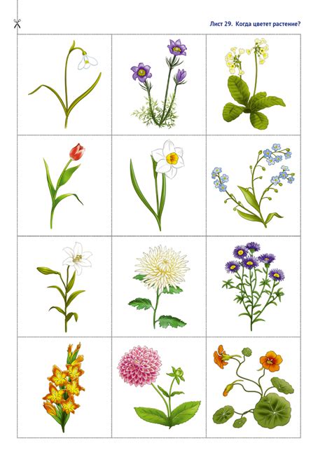 Природа в развитии и воспитании детей дошкольного возраста 5—7 лет Учебное наглядное пособие