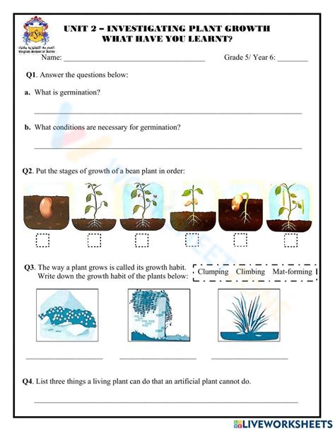 Grade 1 Science Worksheets