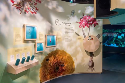 Sex Appeal The Scandalous Life Of Nature Teo All About Touring Exhibitions