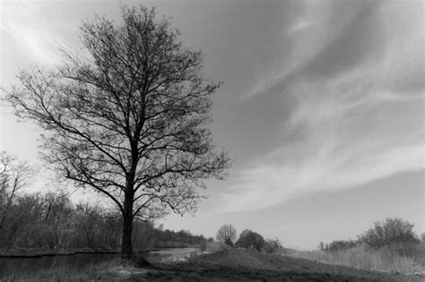 Plassen Bilder Durchsuchen 770 Archivfotos Vektorgrafiken Und Videos Adobe Stock