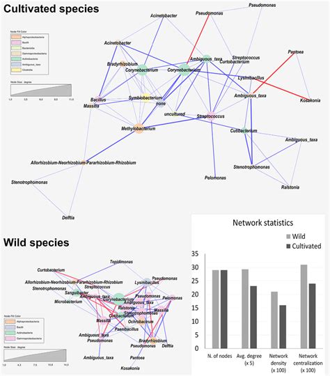 Co Occurrence Network Of Otus Calculated For Wild And Cultivated Download Scientific Diagram