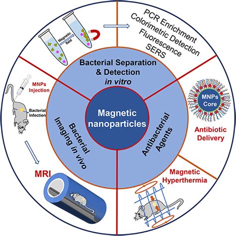 Frontiers Applications Of Iron Oxide Based Magnetic Nanoparticles In