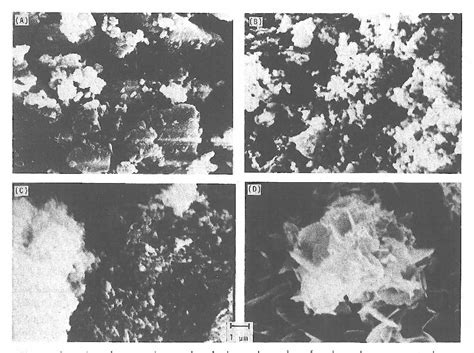 Figure 5 From Synthesis Of β Tricalcium Phosphate By Use Of Wet Milling Semantic Scholar