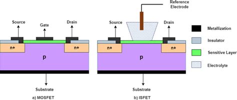 Schematic Architecture Of A Mosfet B Isfet Not To Scale