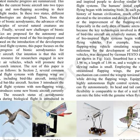 Pdf Review On Bio Inspired Flight Systems And Bionic Aerodynamics
