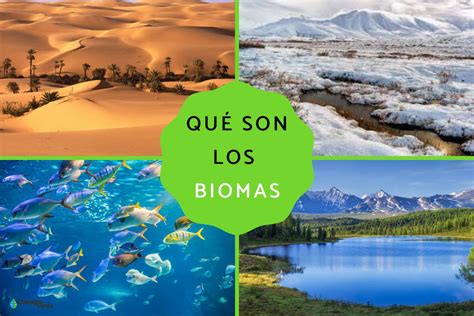 What Are Biomas Types And Examples Evidence Network