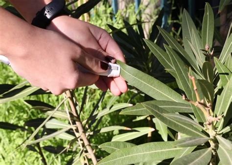 Scribbles Colour Matching Pen Writes In Millions Of Tones