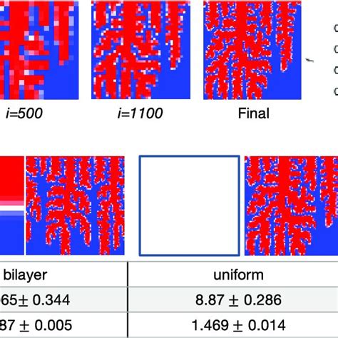 Microstructure Optimization For A Typical Organic Solar Cell Device