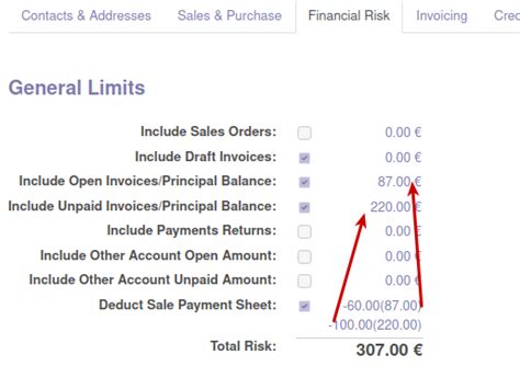 Odoo Addon Sale Payment Sheet Financial Risk · Pypi