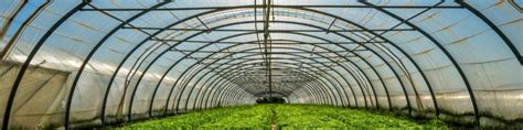 Ken Charboneau Horticulture Industry Professional Linkedin