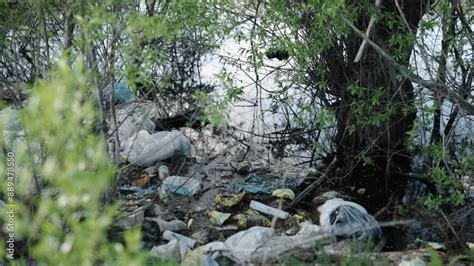 Water Contamination Pollution Effects Pollution Challenge Presence