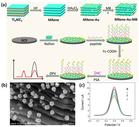 Application Prospects Of Mxenes Materials Modifications For Sensors