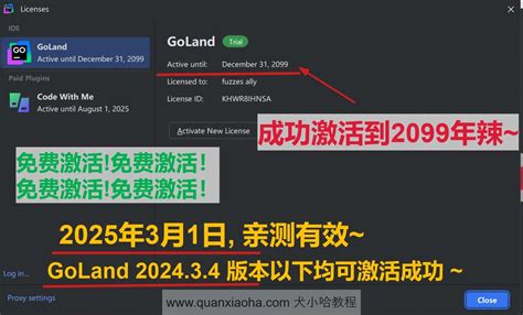 Goland 破解激活码 犬小哈教程