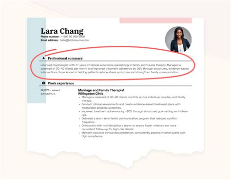 Examples Of Career Summary