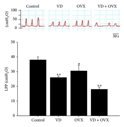 LPP Values In The Different Groups Each Bar Represents The Mean SEM Download Scientific