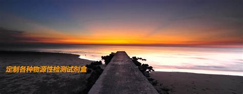 一站式科研试剂和技术服务供应商 天恩泽