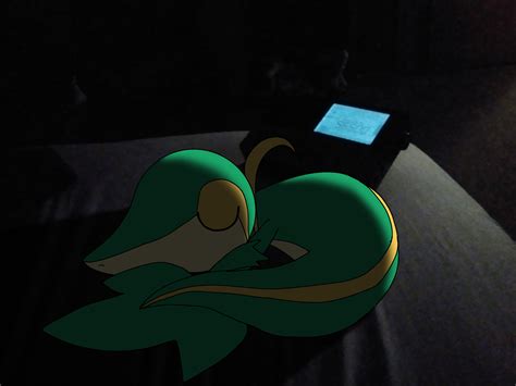 Snivy 