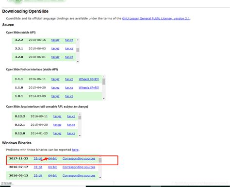 【tiff】六 用openslide 读tifftifffile的description在openslide里怎么获取 Csdn博客