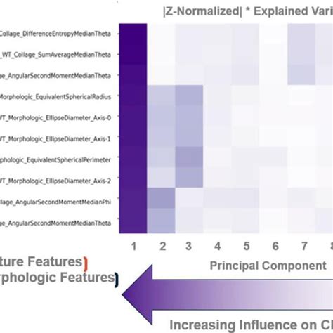 Molecular Analysis A Mutation Frequencies Of Each Of The 10 Genes Of