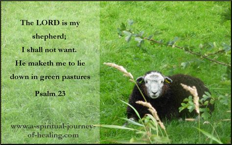Psalm 23 The Lords My Shepherd Prayer And My Interpretation